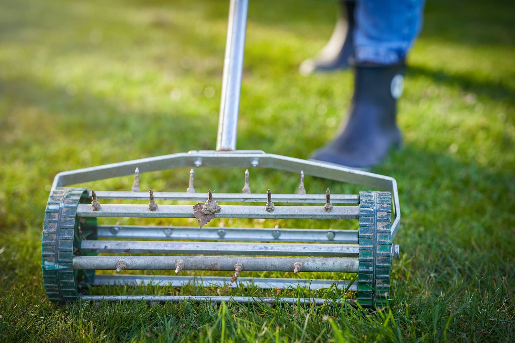 Lawn Renovation - Fresh Cut Lawns