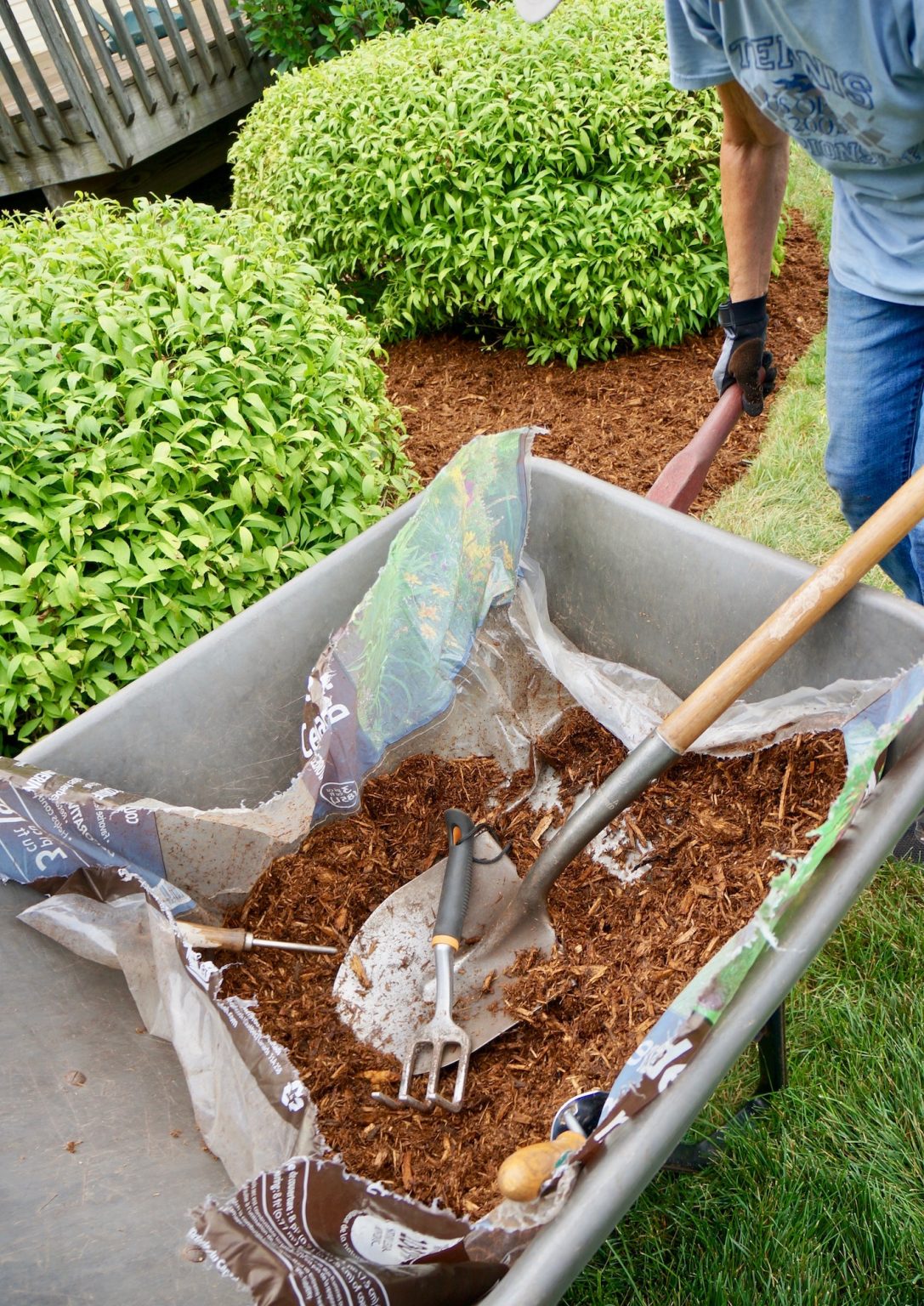 Mulch Beds and Tree Wells - Fresh Cut Lawns